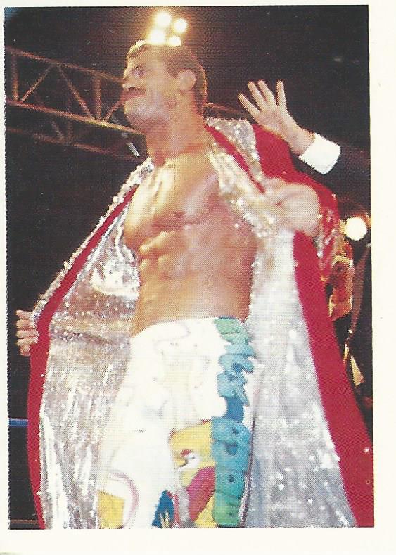 Euroflash WCW 1992 Sticker Collection U.K Release – Wrestling Cards ...
