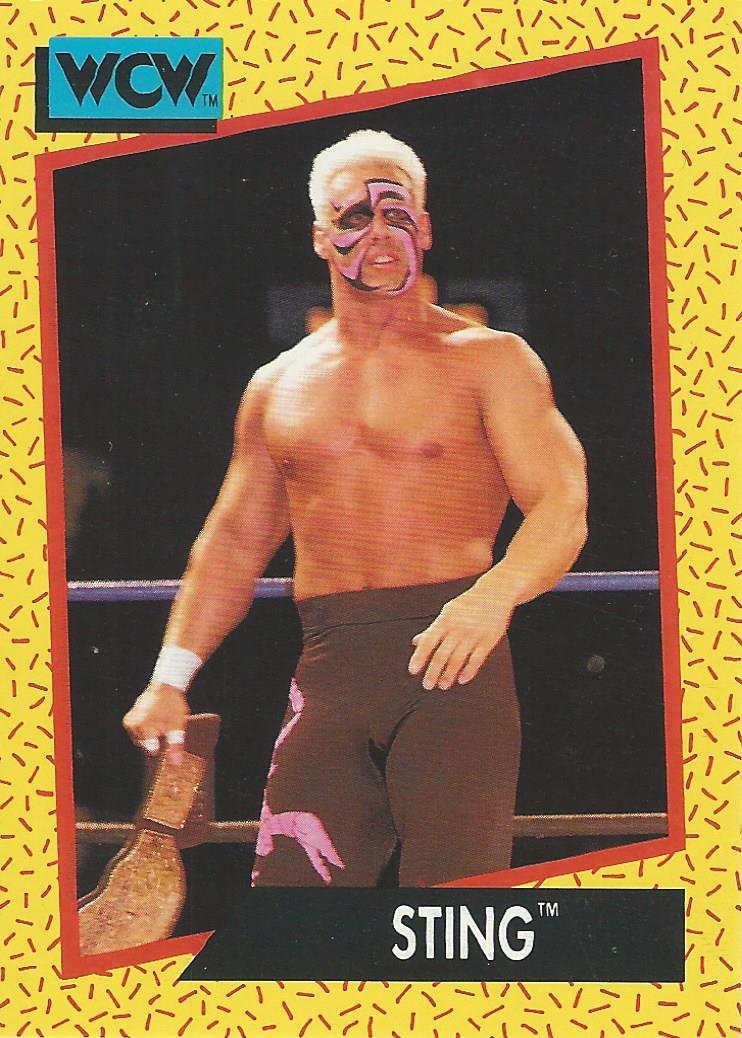 WCW Impel 1991 Trading Cards – Wrestling Cards Worldwide