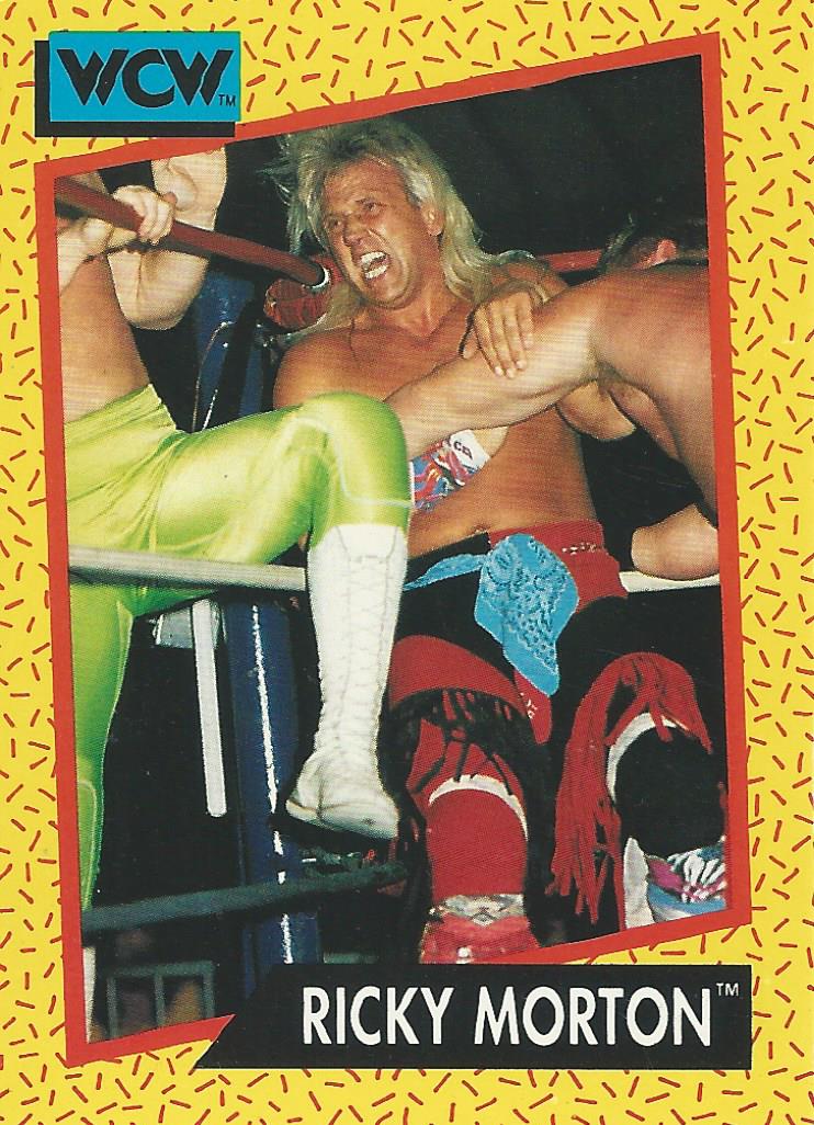 WCW Impel 1991 Trading Cards Ricky Morton No.101 – Wrestling Cards ...