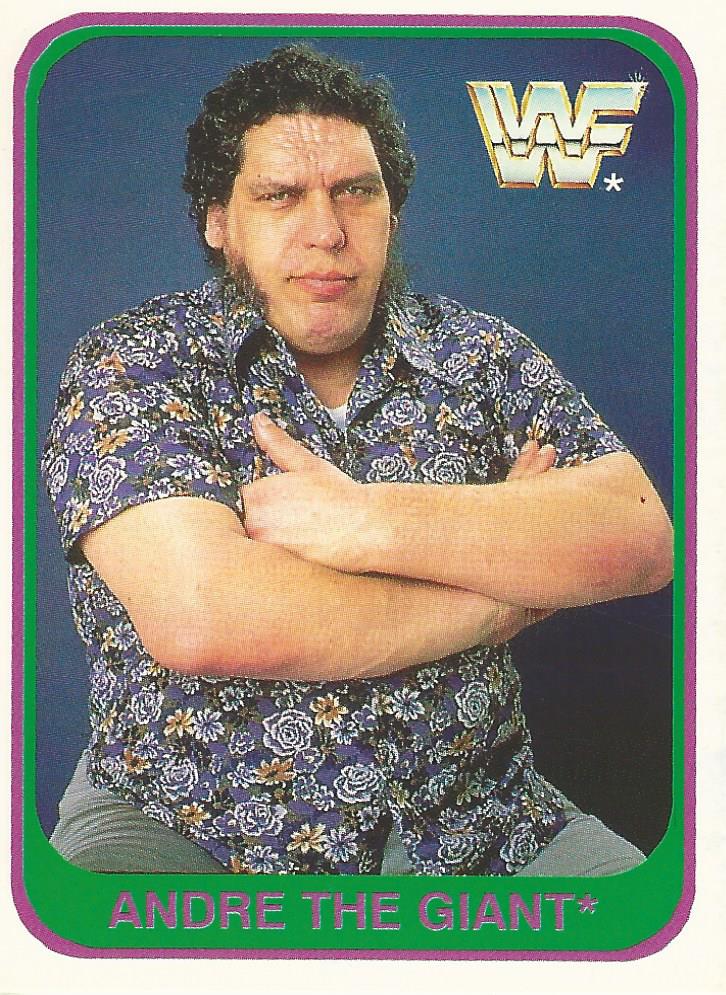WWF Merlin 1991 Trading Cards Andre the Giant No.121 – Wrestling Cards ...