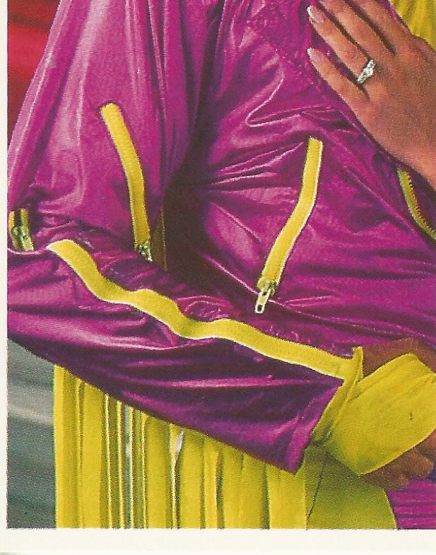 WWF Merlin Stickers 1991 Macho Man Randy Savage No.182 – Wrestling ...