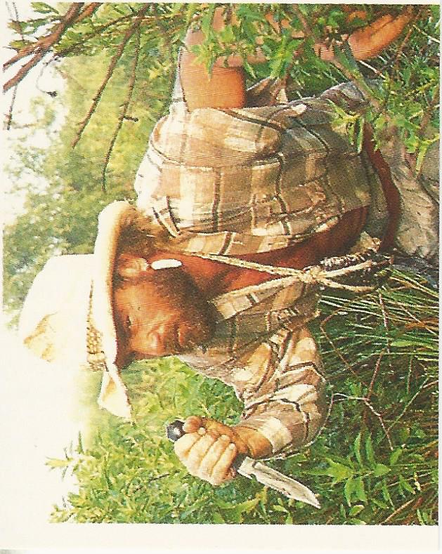 WWF Merlin Stickers 1991 Skinner No.285 – Wrestling Cards Worldwide