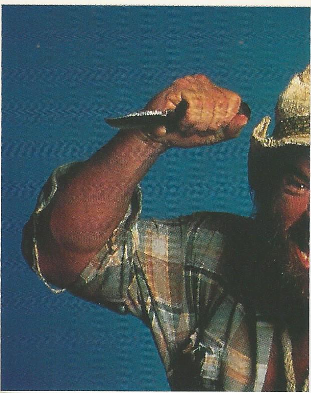 WWF Merlin Stickers 1991 Skinner No.289 – Wrestling Cards Worldwide